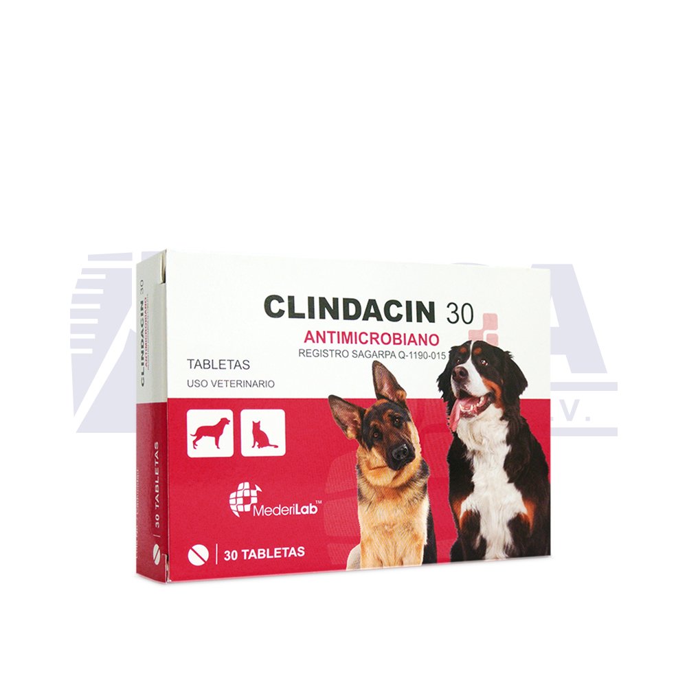 Clindacin 30 - FYNSAMX