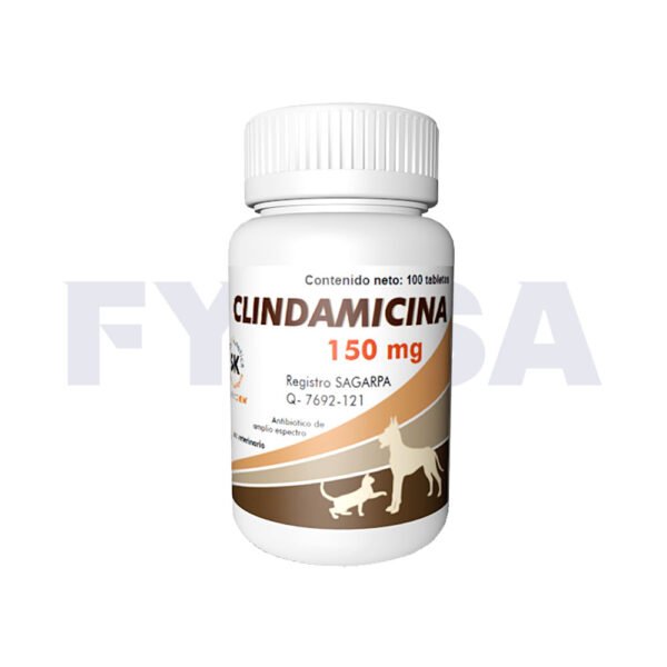 Clindamicina - 150 mg - FYNSAMX