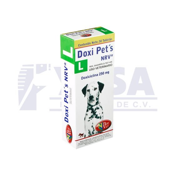 Doxi Pet's NRV L - FYNSAMX