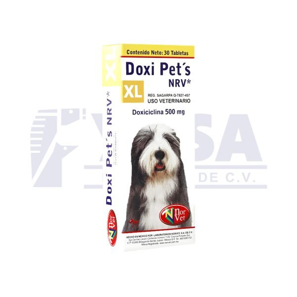 Doxi Pet's NRV XL - FYNSAMX